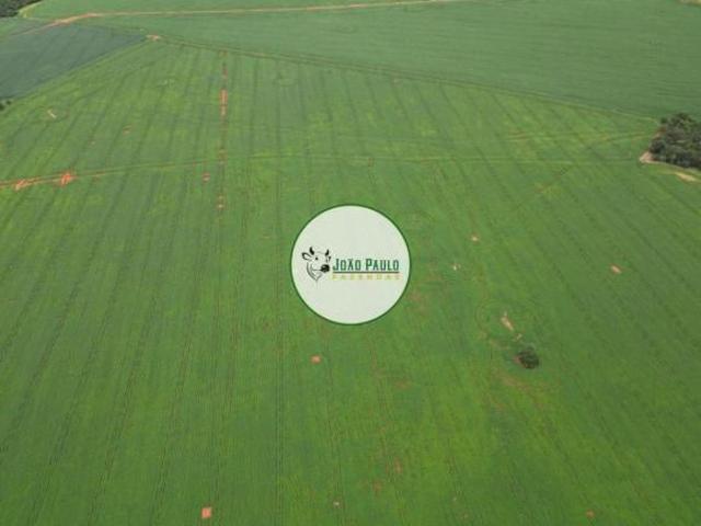 Fazenda a venda em Caiapônia GO 94 Hectares 16 alqueiro plantado soja