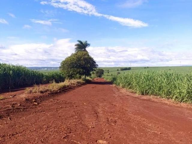 Fazenda à venda em Cajuru/SP