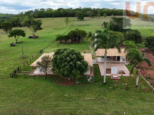 Fazenda à Venda em Camapuã/MS | 239 ha | Rica em Água | Pontinha do Cocho