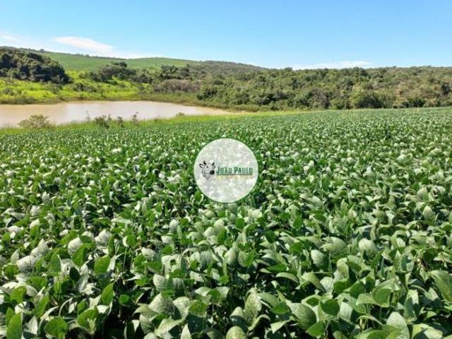 Fazenda a venda em Campo Alegre de Goiás 103 Hectares Boa Logística para armazém de grãos