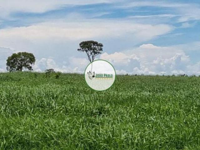 Fazenda a venda em Campo Florido MG 95 Hectares REGIÃO DE CANA CONSOLIDADA
