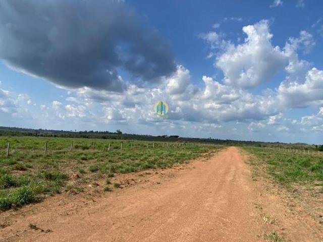 Fazenda à venda em Campo Novo do Parecis/MT