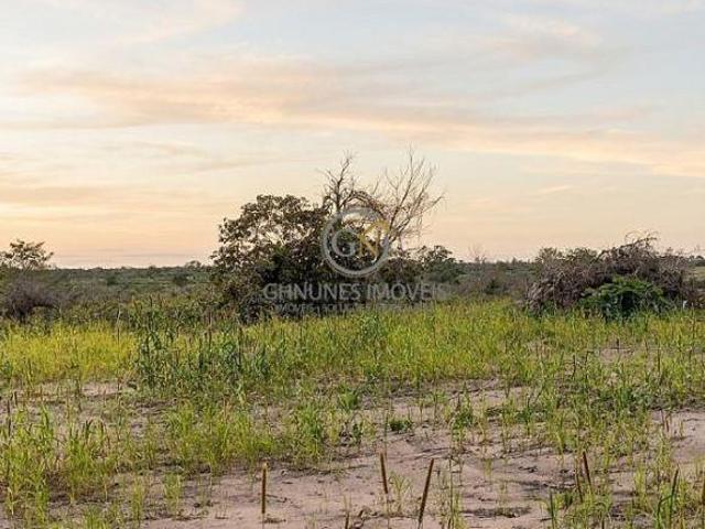Fazenda à Venda em Campos de Júlio MT/ 3.180 ha para Lavoura