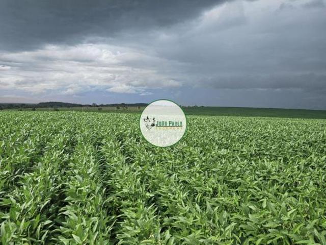 Fazenda a venda em Campina Verde MG 484 Hectares REGIÃO PREMIUM DO AGRONEGÓCIO