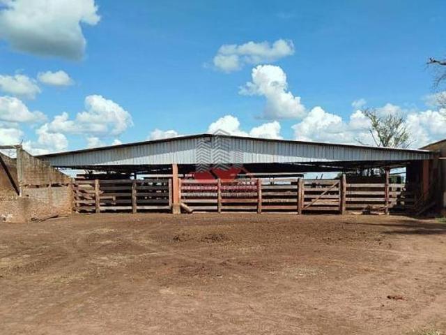 Fazenda à Venda em Campina Verde MG | 156 Alq | Cana e Grãos