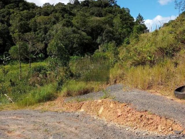 Fazenda à venda em Campina Grande do Sul com 50 alqueires