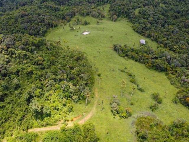 Fazenda à venda em Campina Grande do Sul PR, próximo ao posto Pelanda Alpino II, com cachoeira e um