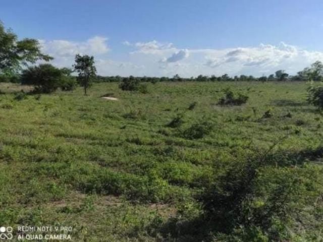 FAZENDA À VENDA EM CANANÉIA,SP COD: 6185 F: 11 97302 9229 CESAR