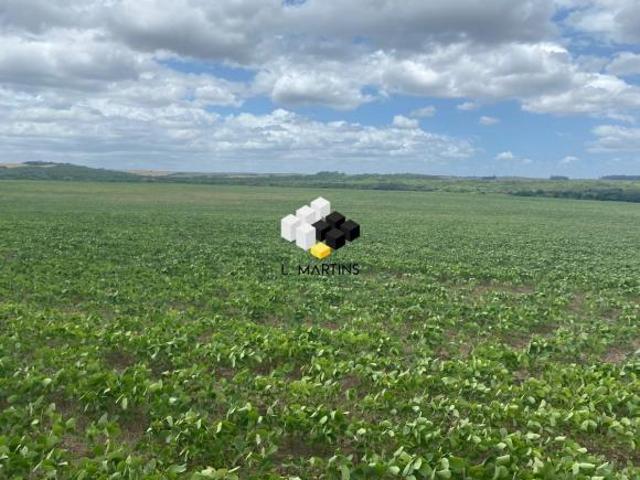 Fazenda a Venda em Candiota 900 hectares Soja Arroz Pecuária