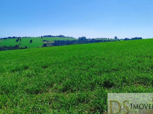 FAZENDA A VENDA EM CAPÃO BONITO/SP, 136 ALQUEIRES NO TOTAL, TERRA MISTA A VERMELHA, AÇUDE, NASCENTES