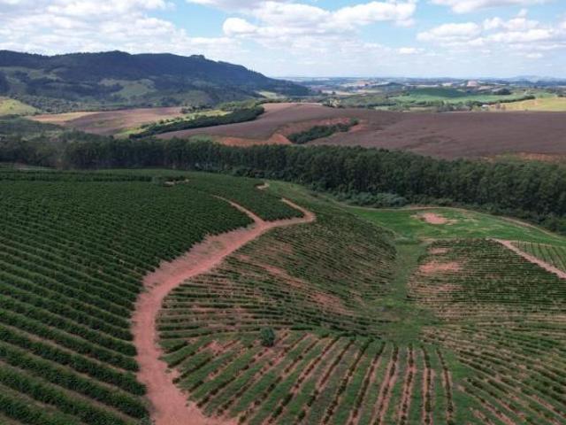 Fazenda à venda em Careaçu MG: 2 quartos, 1 banheiro, 2 vagas de garagem e 1.260.000,00 m² de área!