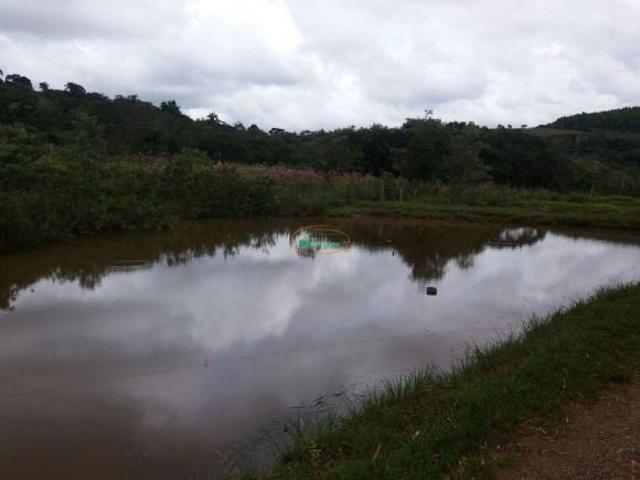 Fazenda à Venda em Carmópolis de Minas, 165 ha com Sede e Água Abundante!