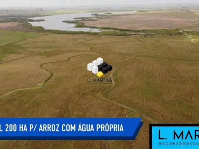 Fazenda a Venda em Cristal RS Arroz e Soja