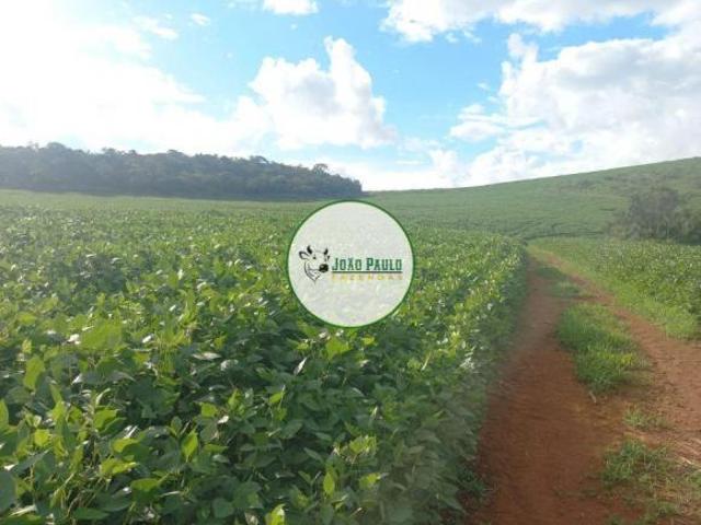 Fazenda a venda em Cristalina 96.8 hectares Safra e safrinha Em lavoura 70 hectares