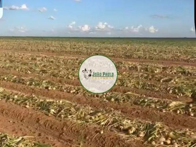 Fazenda a venda em Cristalina 2.000 Hectares ÁREA DE PLANTIO 1.200 HECTARES
