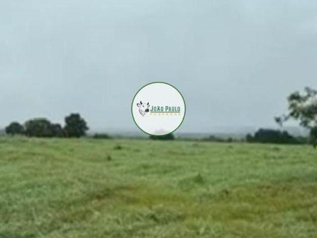 Fazenda a venda em Crixás GO 242 Hectares Toda reformada, pronta para por o gado