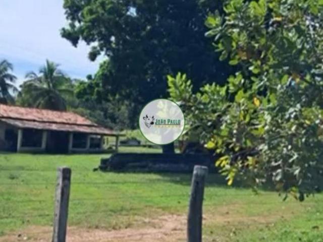 Fazenda a venda em Crixás GO 838 Hectares Área toda formada