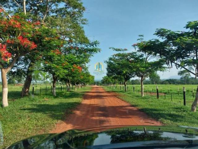 Fazenda à venda em Cuiabá/MT