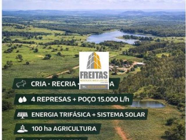 Fazenda à Venda em Curvelo MG ? 536 Hectares Produtivos para Cria, Recria e Engorda com energia sola