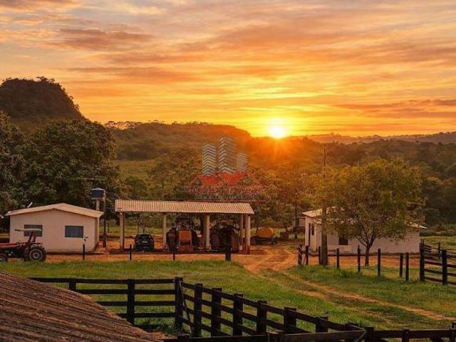 Fazenda à Venda em Alto Araguaia MT | 297 Alq. Estruturada