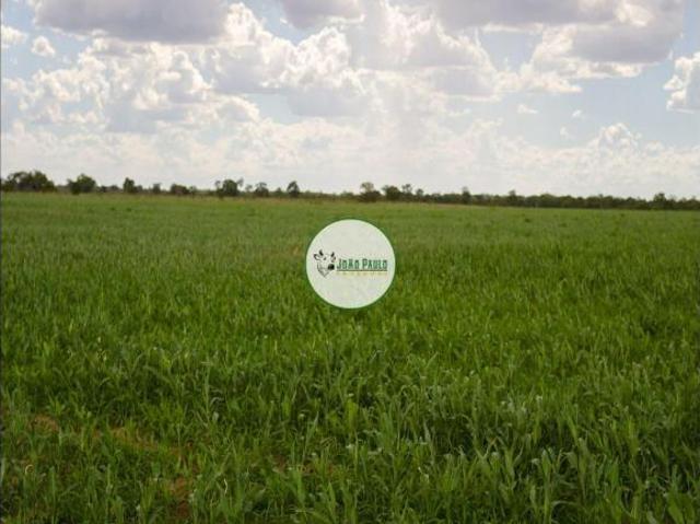 Fazenda a venda em Alvorada do Norte GO 3.336 Hectares Pecuária e Lavoura Estrutura Completa