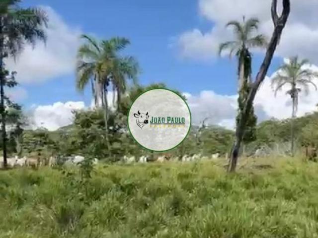 Fazenda a venda em Alvorada do Norte GO 619 Hectares Pronta para pecuária Coloca 1.000 cabeças
