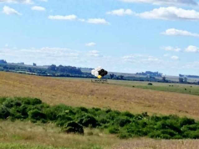 Fazenda a Venda em Alegrete 78% para Lavoura