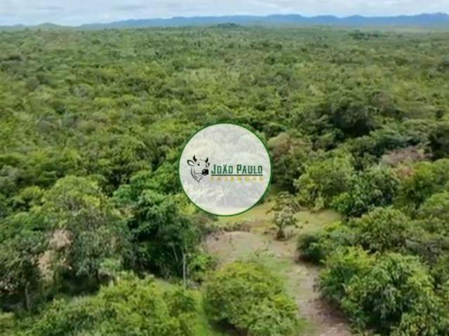 Fazenda a venda em Araguapaz GO 4.884 Hectares VALE DO ARAGUAIA Fazenda Bruta