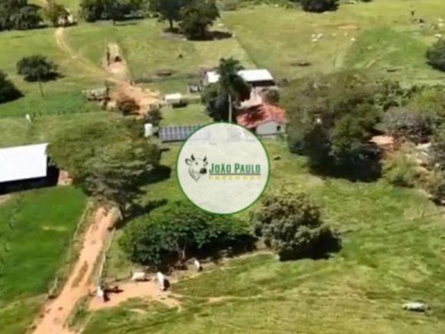 Fazenda a venda em Araguari MG 193 Hectares ESTRUTURADA PARA PECUARISTA EXIGENTE
