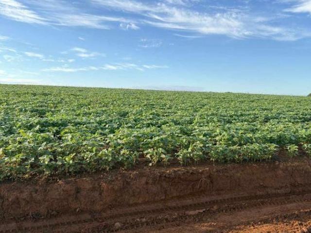 Fazenda a venda em Araxá região do Itaipu