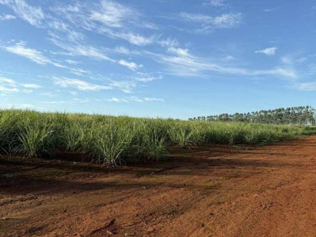 FAZENDA À VENDA EM ARAXÁ – REGIÃO DO ITAIPÚ