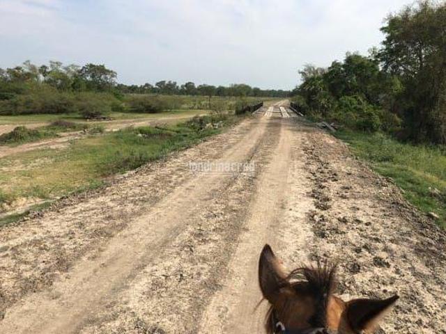 Fazenda à Venda em Área Rural de Corumbá, Corumbá MS