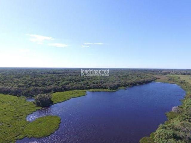 Fazenda à Venda no Chaco Paraguaio