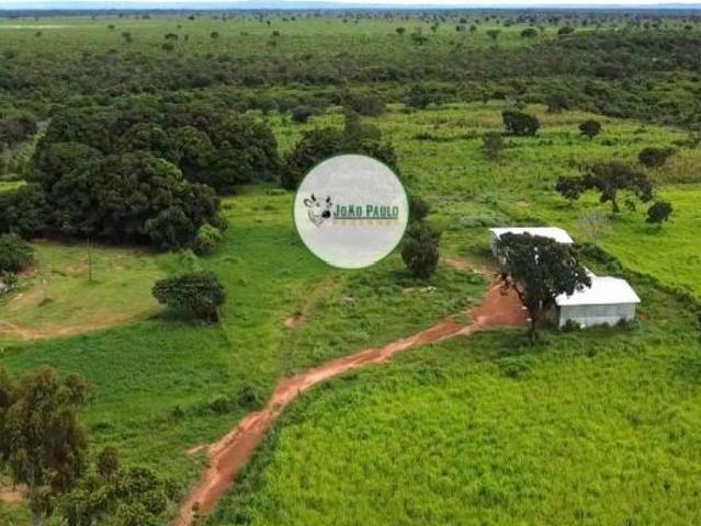 Fazenda a venda em ARINOS MG 247 hectares Relevo plano DUPLA APTIDÃO