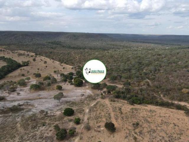 Fazenda a venda em ARINOS MG 294 HECTARES Beira do asfalto Oportunidade