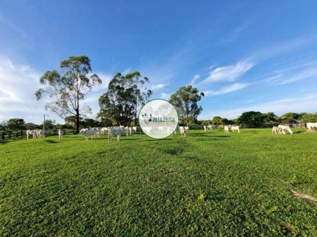 Fazenda a venda em ARINOS MG 202 Hectares Toda formada 12 divisões de pastos