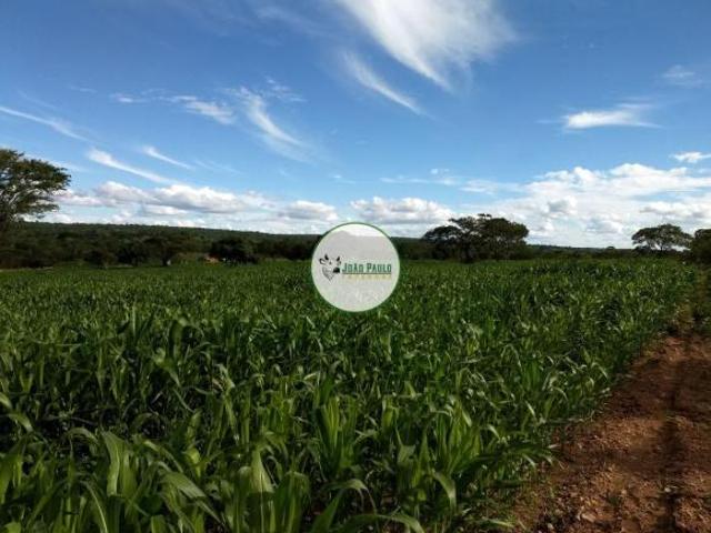 Fazenda a venda em ARINOS MG 90 Hectares OPORTUNIDADE