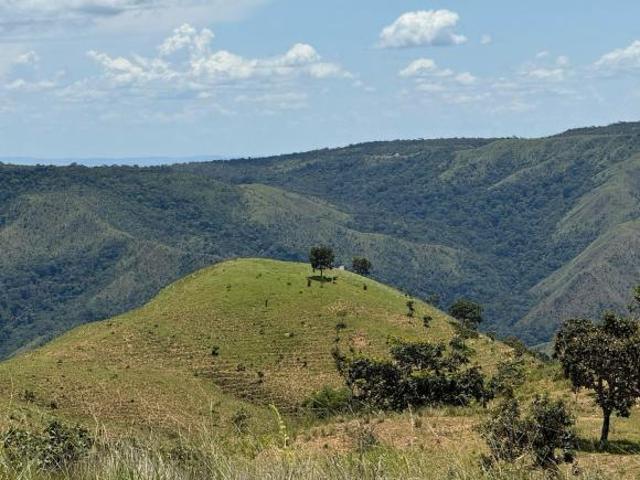 Fazenda à Venda em Bom Jardim de Goiás