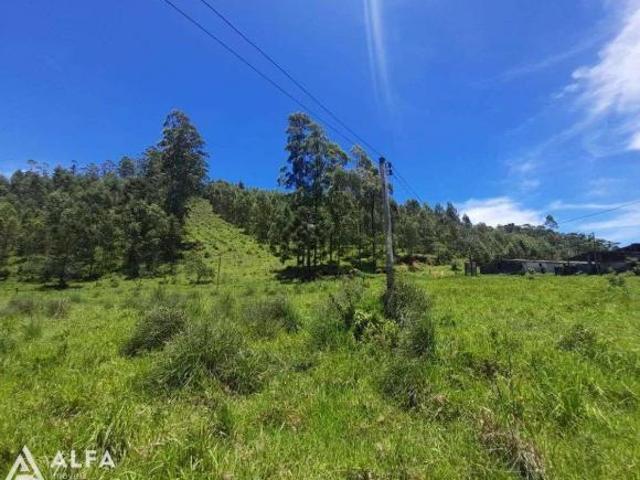 Fazenda à venda em Barbacena, Correia de Almeida, com 4 quartos, 53ha