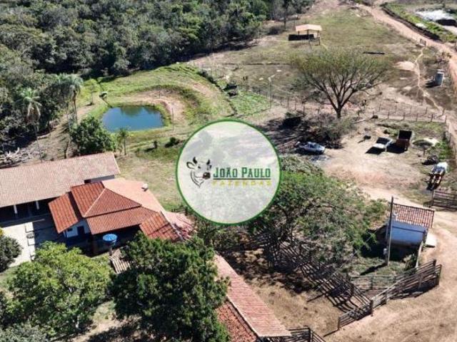 Fazenda a venda em Bela Vista de Goiás GO 96 Hectares Terra de cerrado