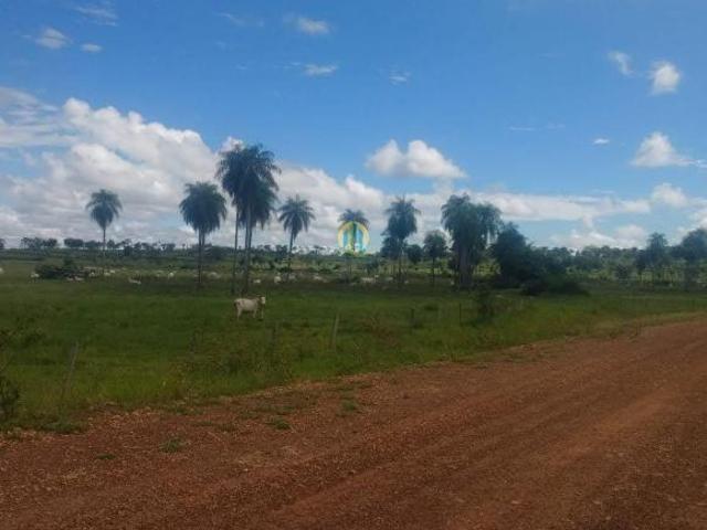 Fazenda à venda em Bela Vista/MS