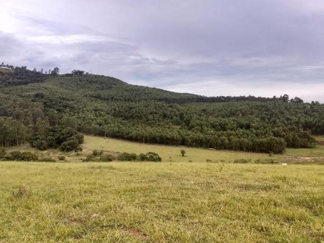 Fazenda a Venda em Bragança 3 Quartos, 4 Banheiros, 20 Vagas de Garagem, 912.000 m² de Área