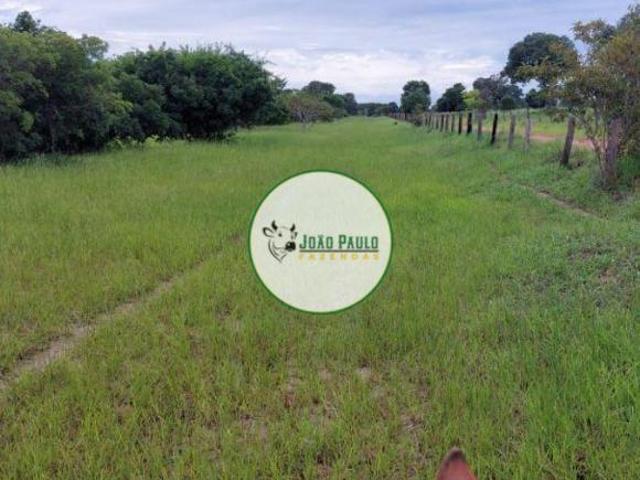 Fazenda a venda em Britania GO 304 Hectares Toda cercada e formada