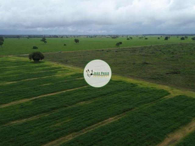 Fazenda a venda em Britania GO 653 Hectares Dupla aptidão Região do vale do araguaia