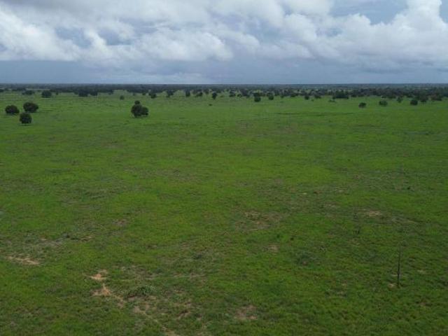 Fazenda a venda em Britania Região do vale do Araguaia de Goiás 677 Hectares Dupla aptidão