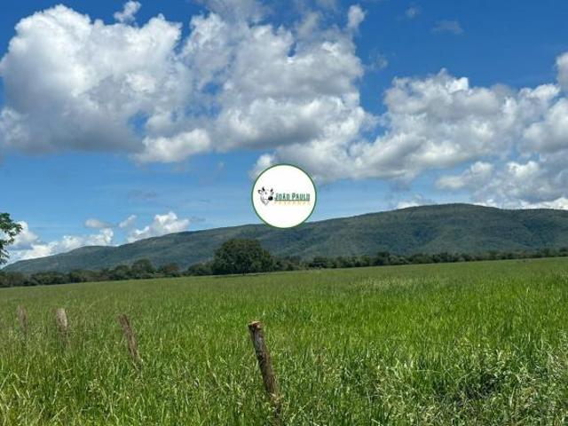 Fazenda a venda em Buritis MG 453 HA TODA FORMADA EM PASTAGEM
