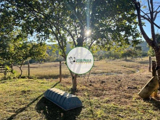 Fazenda a venda em Buritis MG 114 Hectares Fazenda para PECUÁRIA