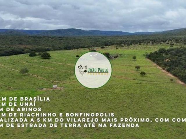 Fazenda a venda em Buritis MG 210 Hectares DUPLA APTIDÃO | POTENCIAL PARA IRRIGAÇÃO