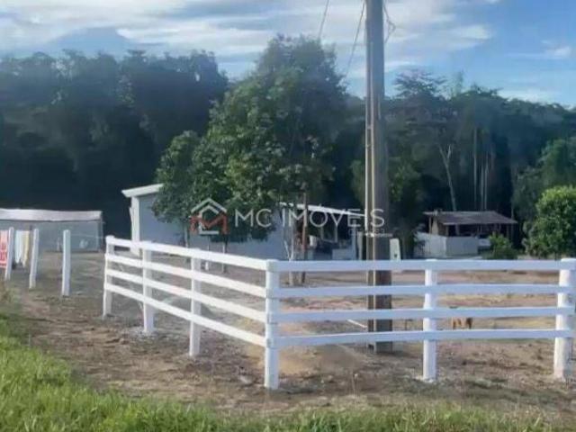 Fazenda à Venda em Goiás | 38 Alqueires Goianos | Excelente para Pecuária e Investimento Rural