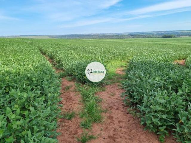 Fazenda a venda em Goiás Jataí GO 304 HA TOTAIS 183 HA de lavoura